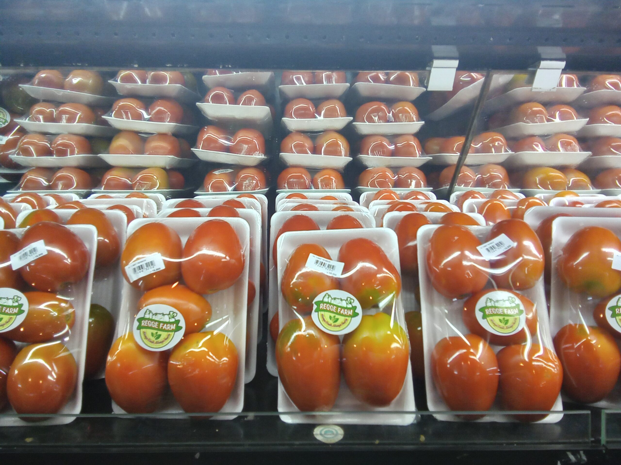 Rg Tomat Tw 500Gr – Jakarta Fruit Market Gajah Mada